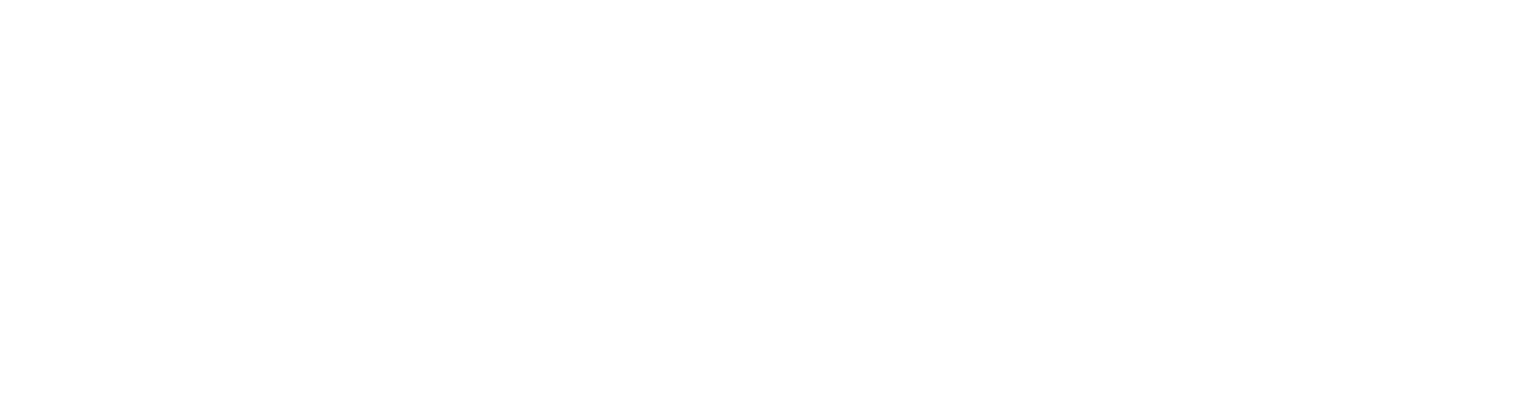 Q4 2024 Market Review & Outlook for 2025 - Curio Wealth